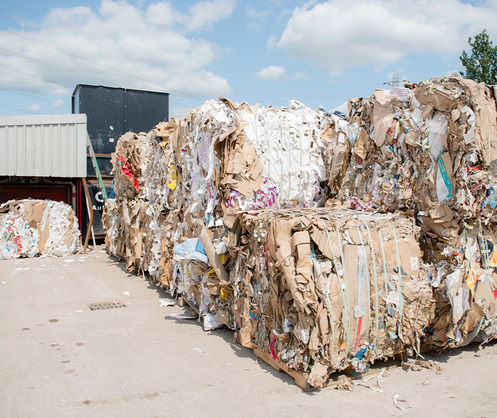 Site Services | Studio Arth